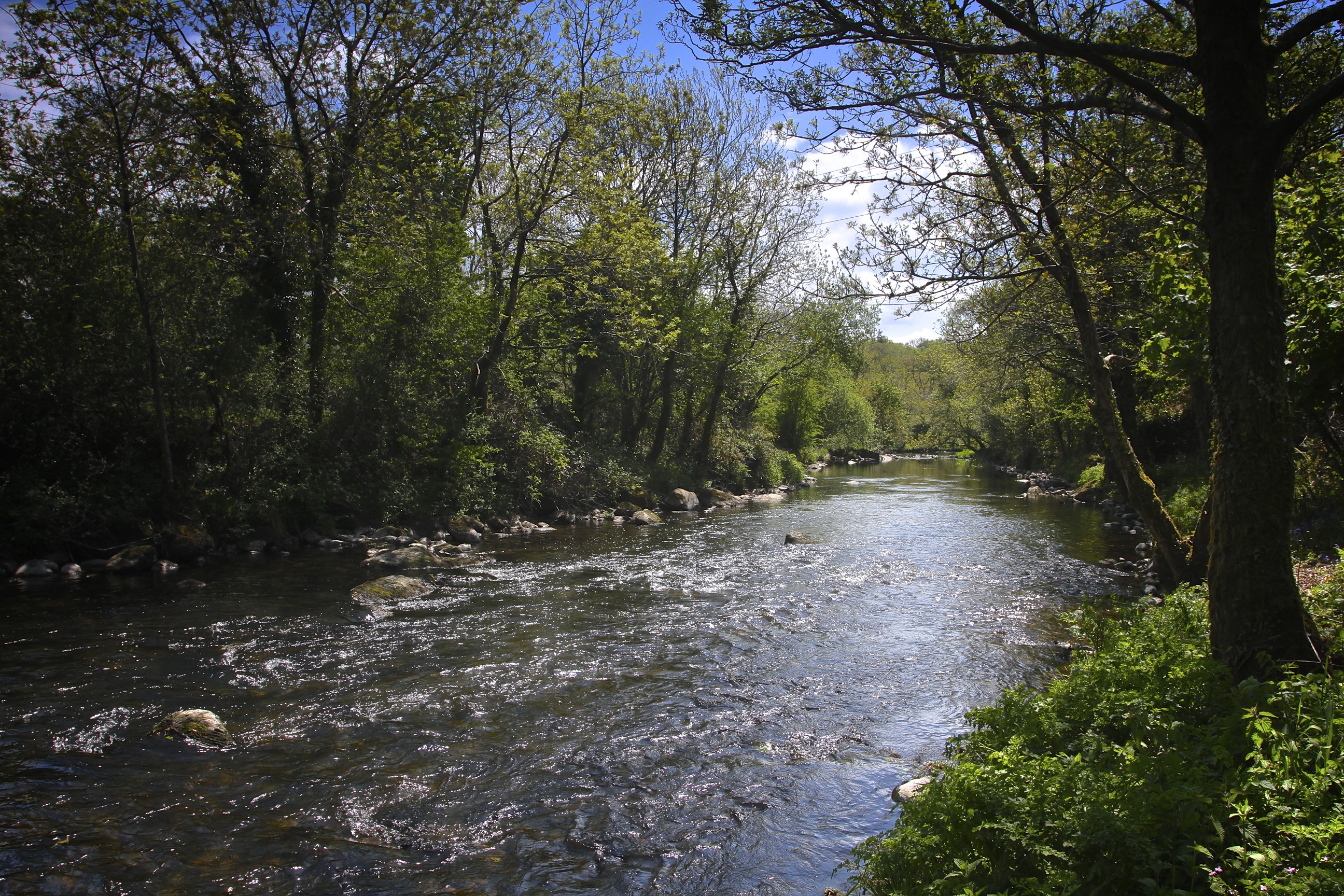 The Mill Bistro Photo Gallery Caernarfon