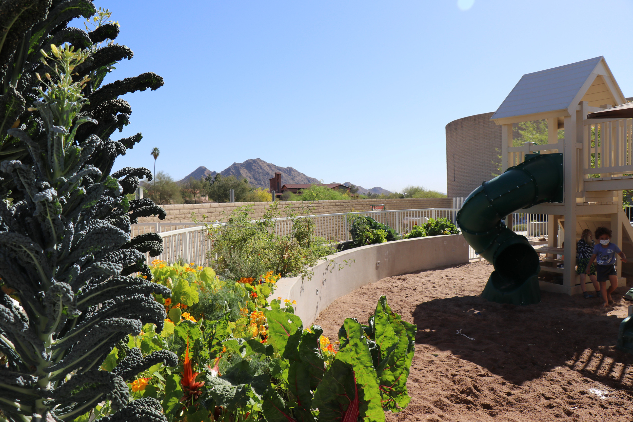 Contact | Early Education Cooperative Preschool - Phoenix, AZ