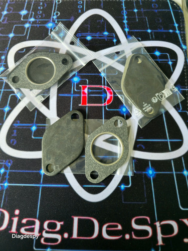 Plaque EGR TDI | Diagdespy
