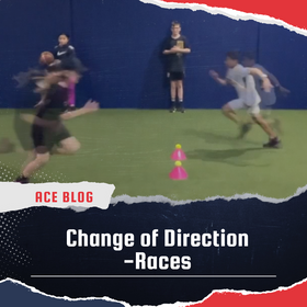 BLOG | Aceperformance