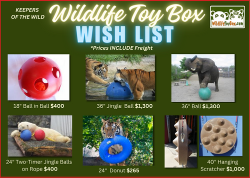 Wildlife Toy Box Wishlist | Keepers of the Wild