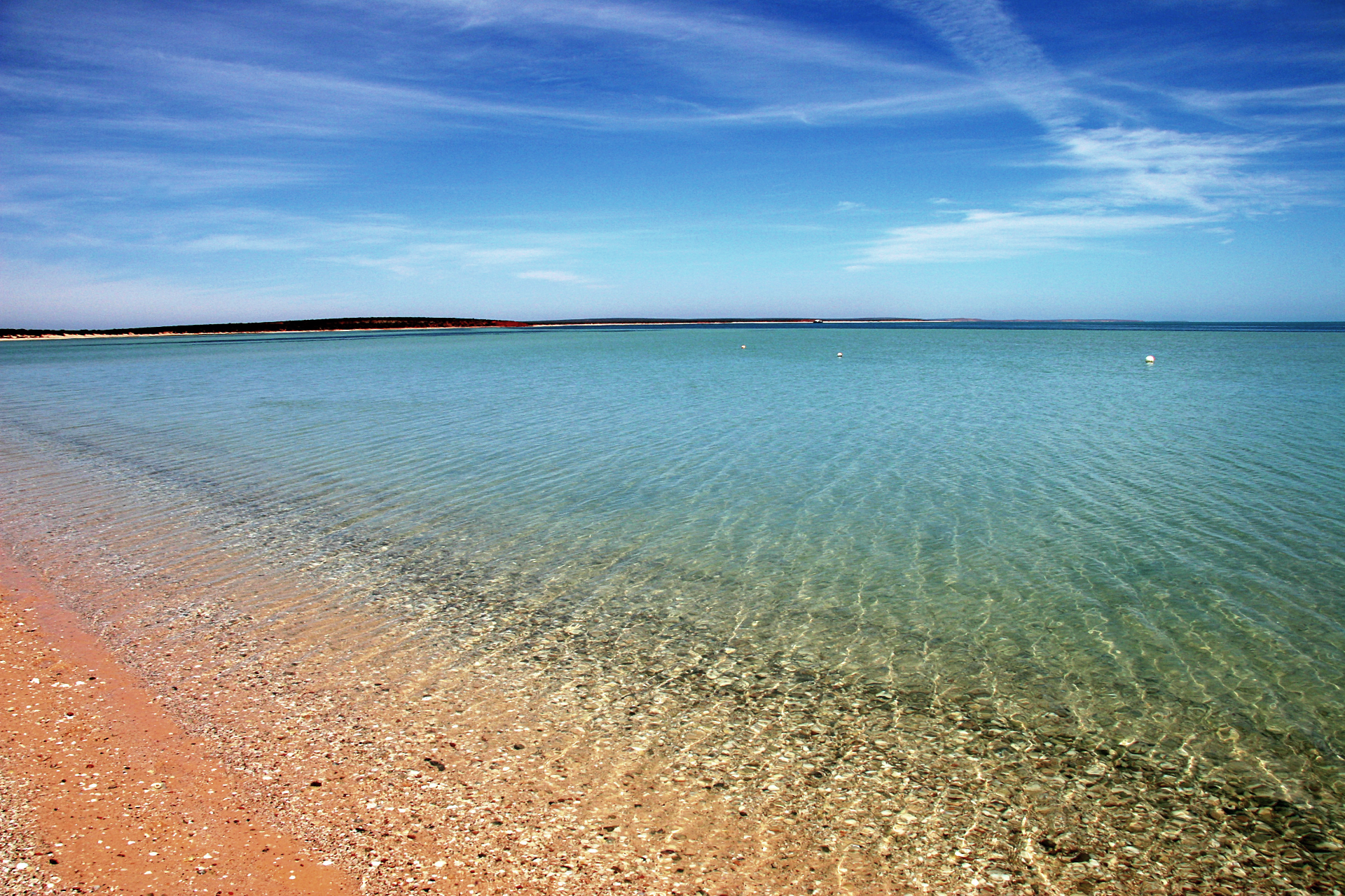 Blue Lagoon Pearls | MONKEY MIA, SHARK BAY, WESTERN AUSTRALIA