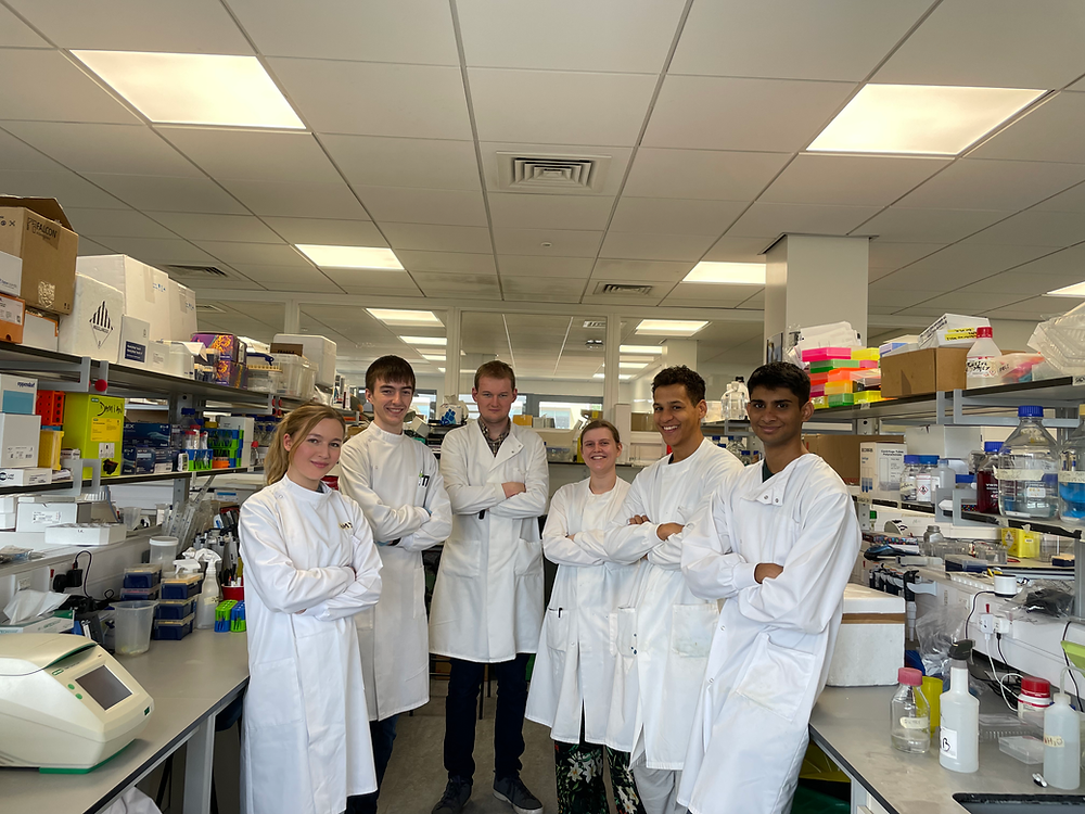 Busy summer in the Boucher lab