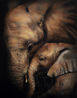 WILDLIFE ART | Wildlife Art and Pet Portraits by Amber Tyldesley