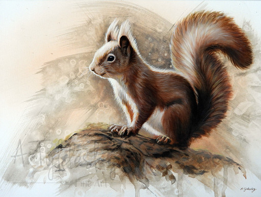WILDLIFE ART | Wildlife Art and Pet Portraits by Amber Tyldesley