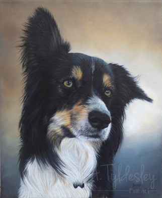 PET PORTRAITS | Wildlife Art and Pet Portraits by Amber Tyldesley