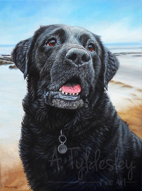PET PORTRAITS | Wildlife Art and Pet Portraits by Amber Tyldesley
