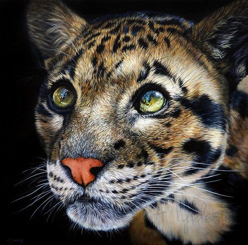 'Head in the Clouds' - Limited Edition Giclee Print | Amber Tyldesley