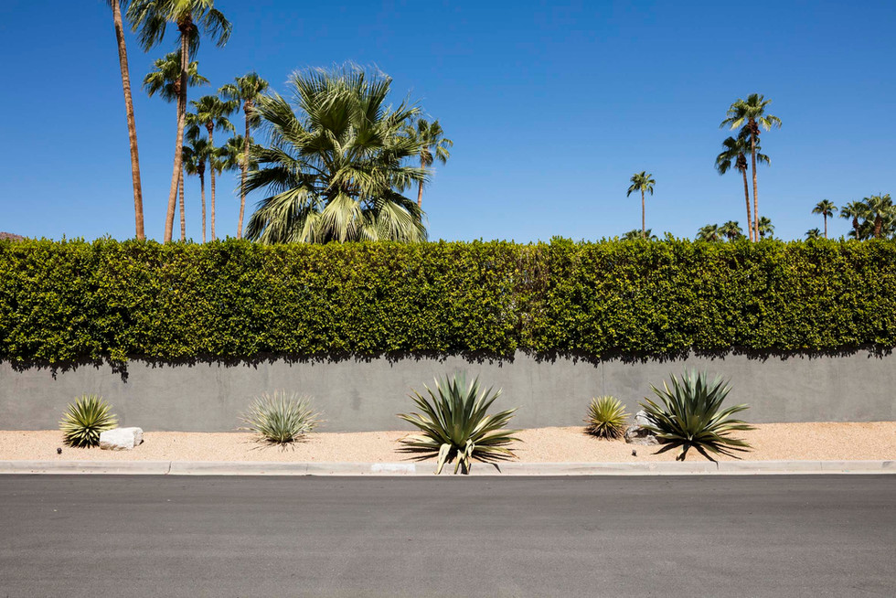 Robin Forster | Mysite