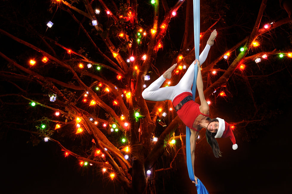 HOME | Aerialist