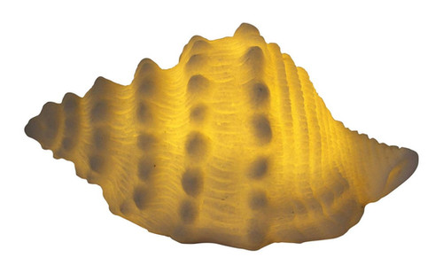 Mini Small Horse Conch Shell Lamp | Sensearoma.co.uk