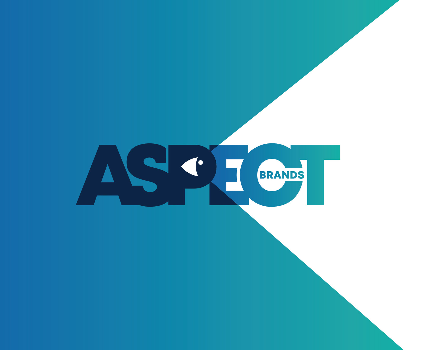 HOME | Aspect Brands