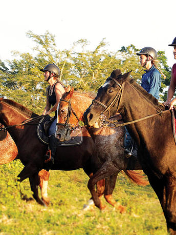 Home | The Riders' Club Vanuatu | Horse riding in Vanuatu