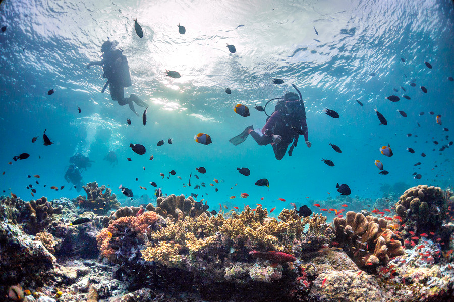 PADI 5 Star Dive Centre in Kota Kinabalu | Go Aquatic