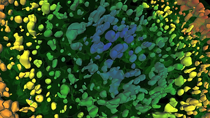 Microscopy image analysis software | Aivia