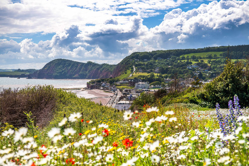 Alma Field, Sidmouth | kbphotography