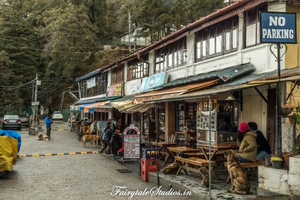 Things to do in Landour (near Mussoorie), Uttarakhand
