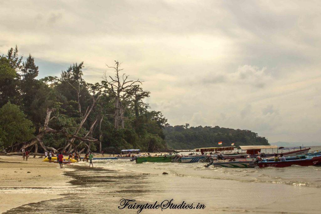 Complete Travel Guide to Havelock Island (Swaraj Dweep)