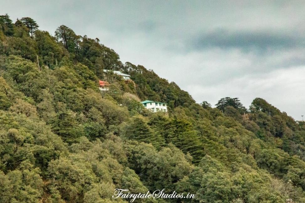 Things to do in Landour (near Mussoorie), Uttarakhand
