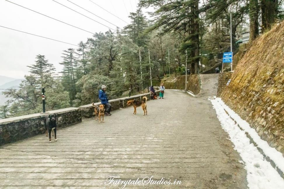 Things to do in Landour (near Mussoorie), Uttarakhand