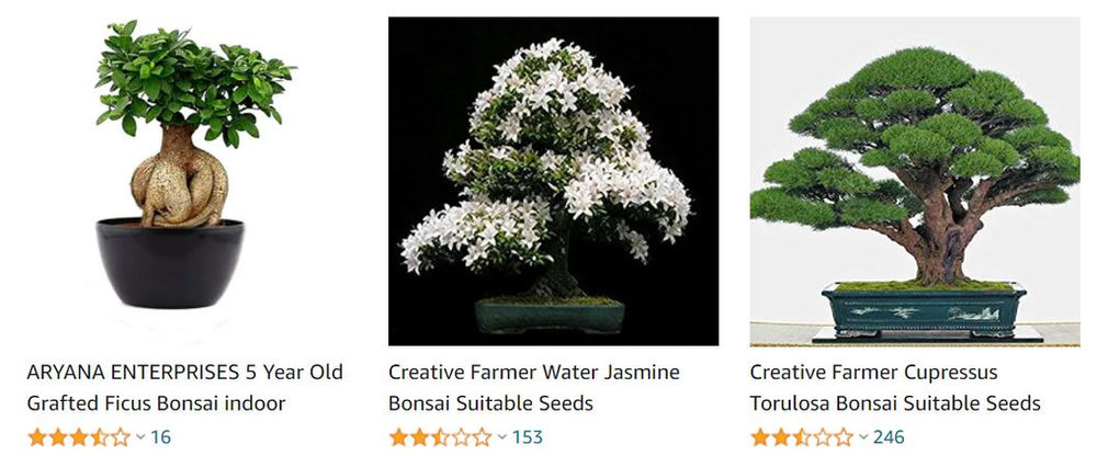 Best Online gifts for Christmas