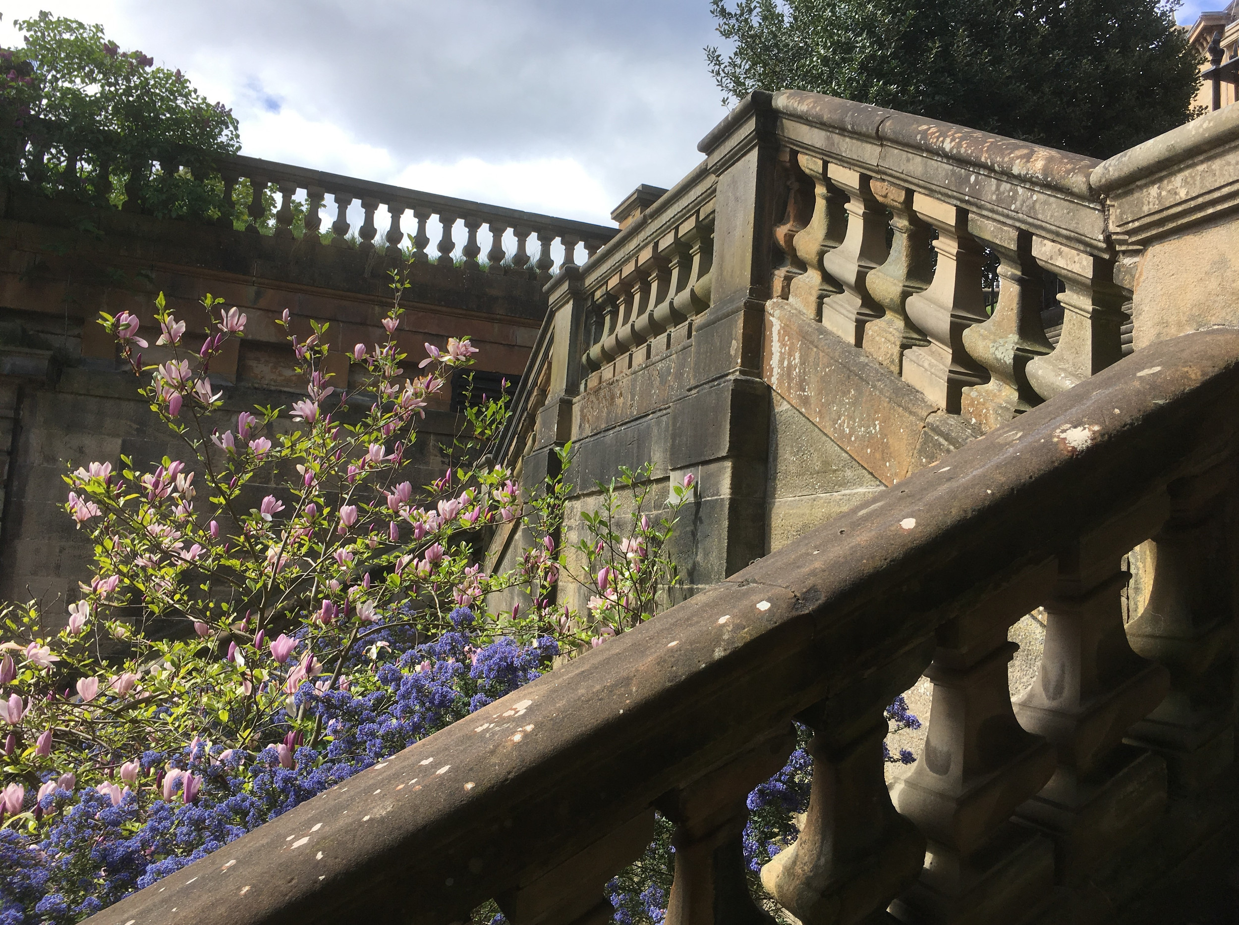 Claremont Terrace | MBLA Design Ltd.