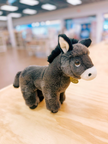 Donkey | Texas General Store