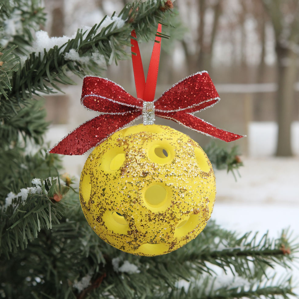 Pickleball DIY Christmas Crafts: Creative Recycling Ideas for Cracked ...