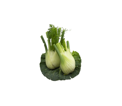 Finocchio | AgriShop2.0