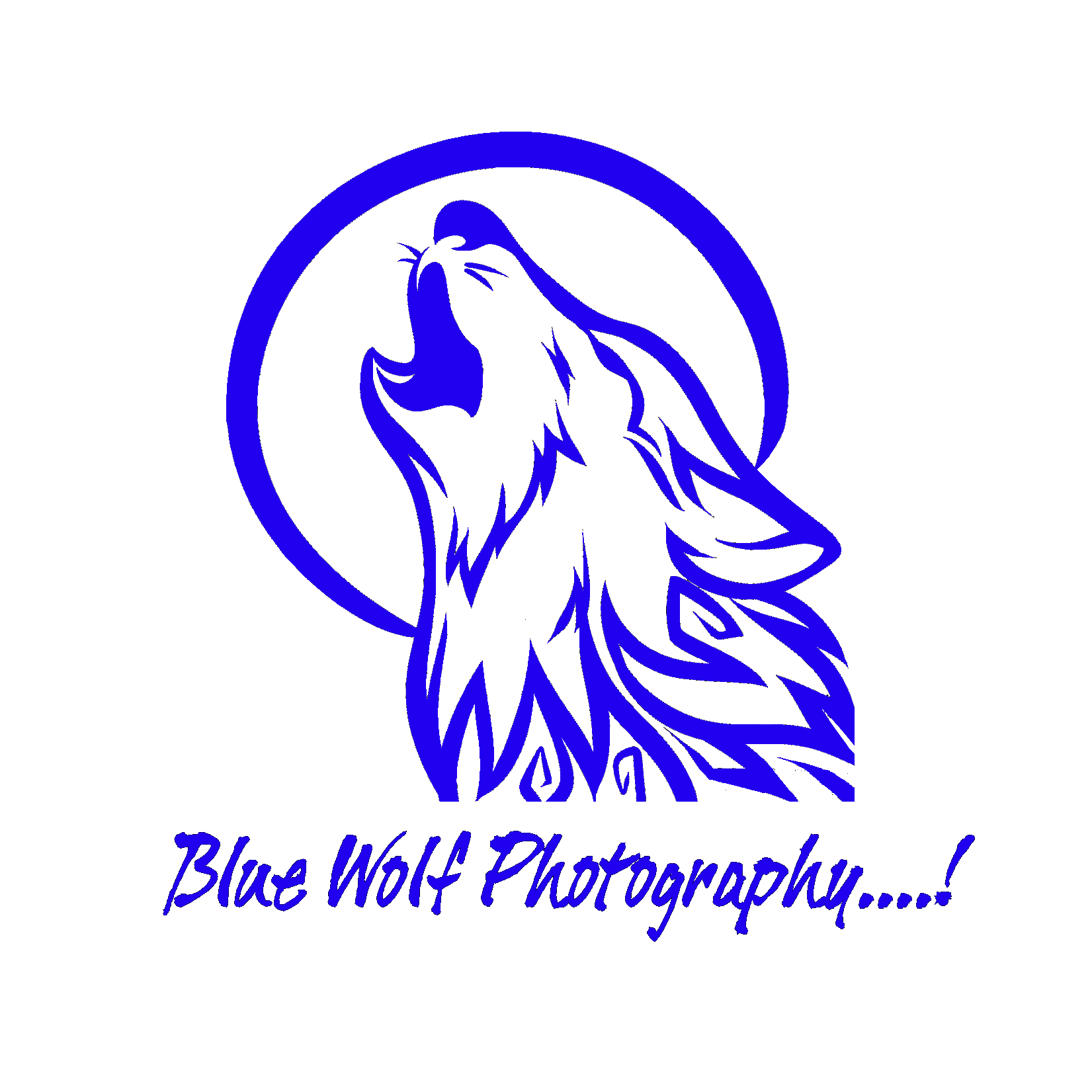 Blue Wolf Photography