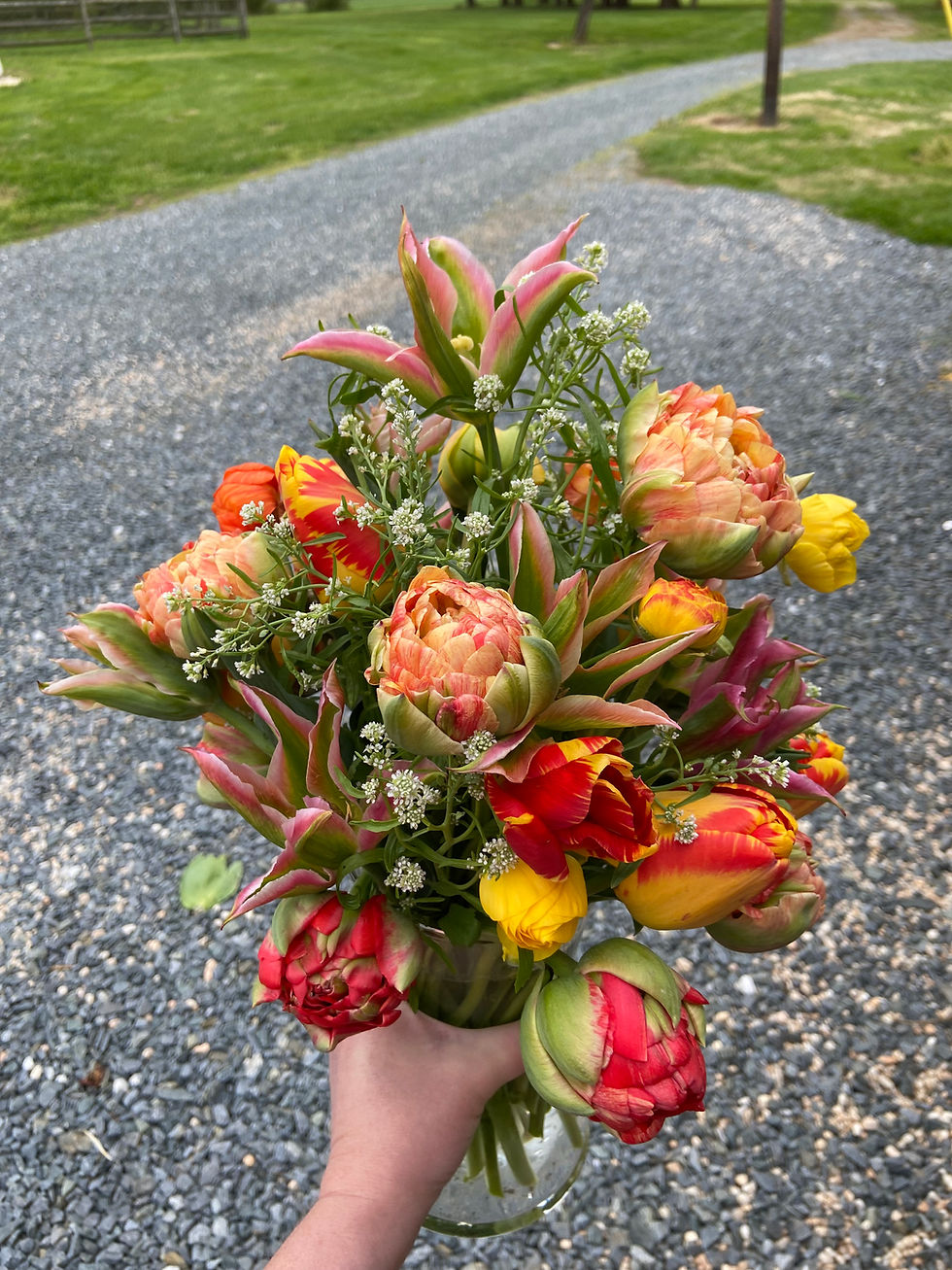 Shop | Wildly Native Flower Farm