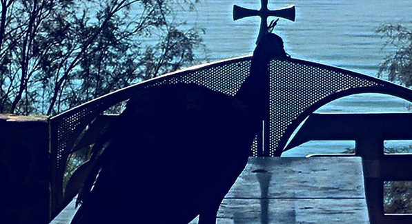 Tracing the evangelical triangle - Day Trip | website