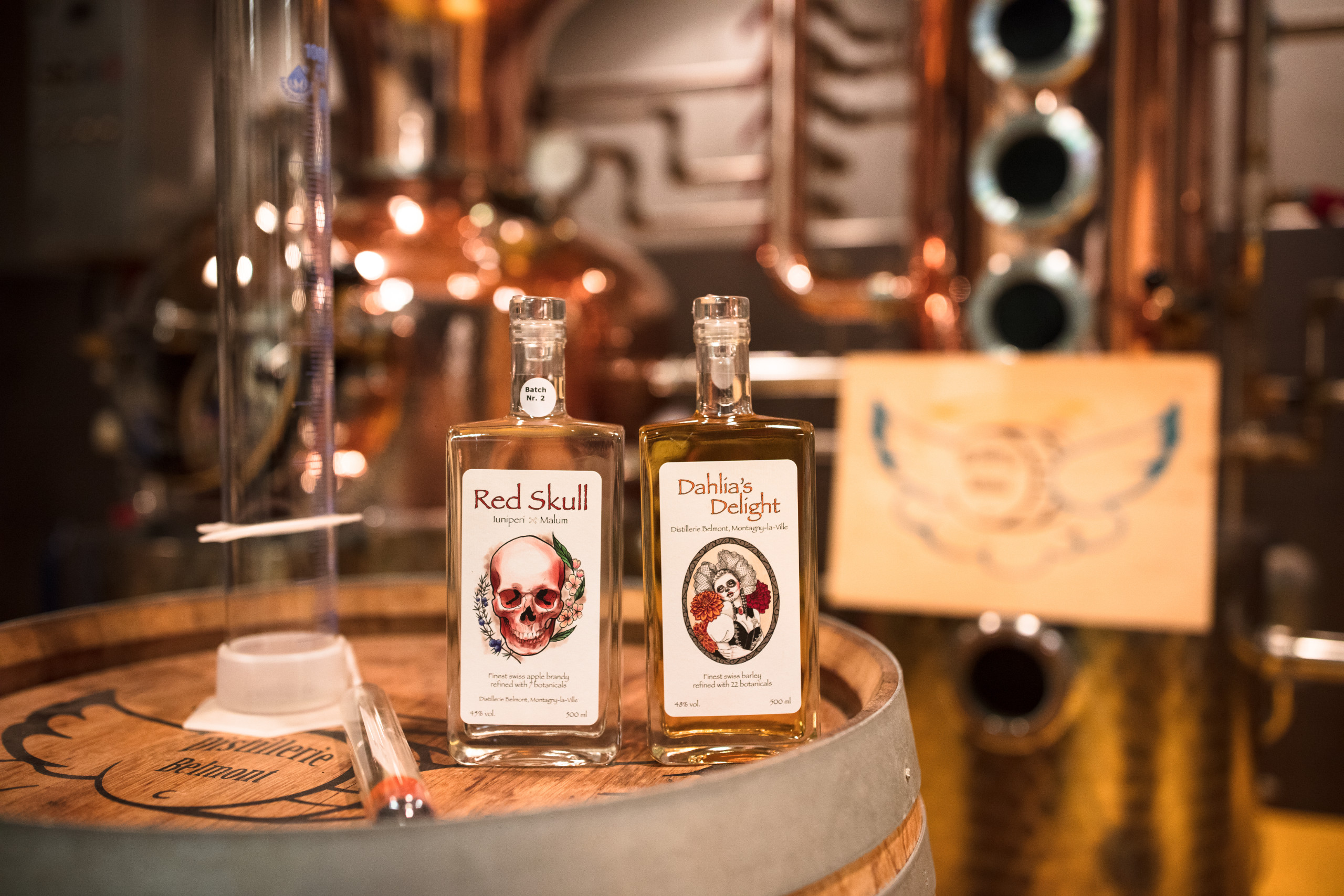 Skull Gin I Distillerie Belmont I Online-Shop für Schweiz