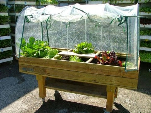 COMO CREAR TU HUERTO | buijogardens