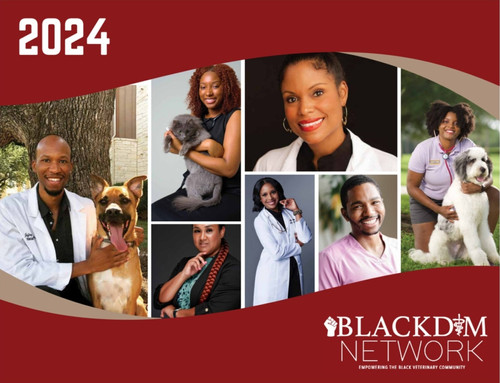 2024 BDVMN Calendar | Black DVM Network