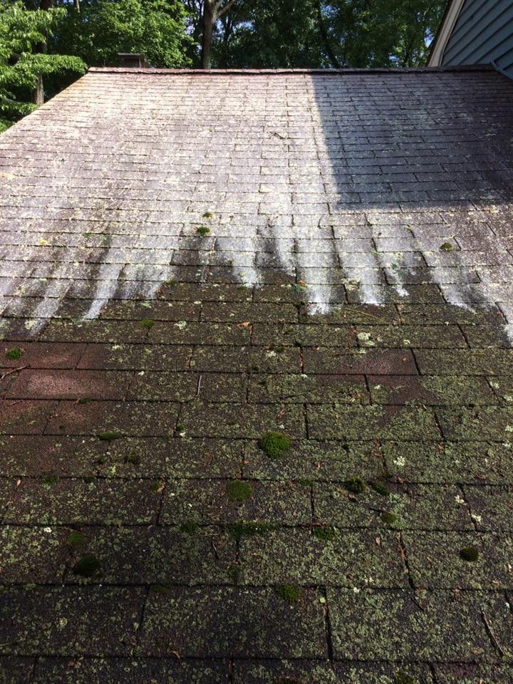 10 things every homeowner should know about residential roof soft washing: