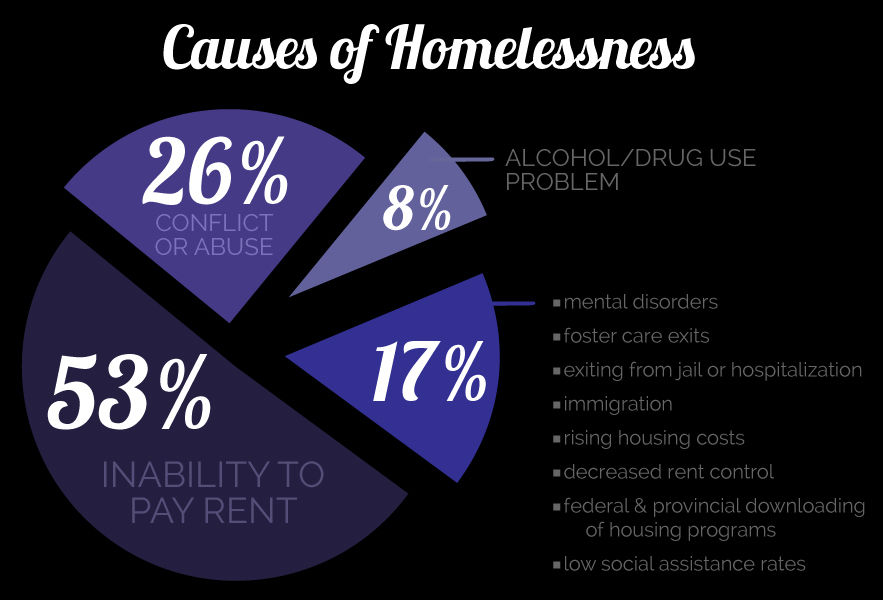 Website Review: The Causes of Homelessness in America