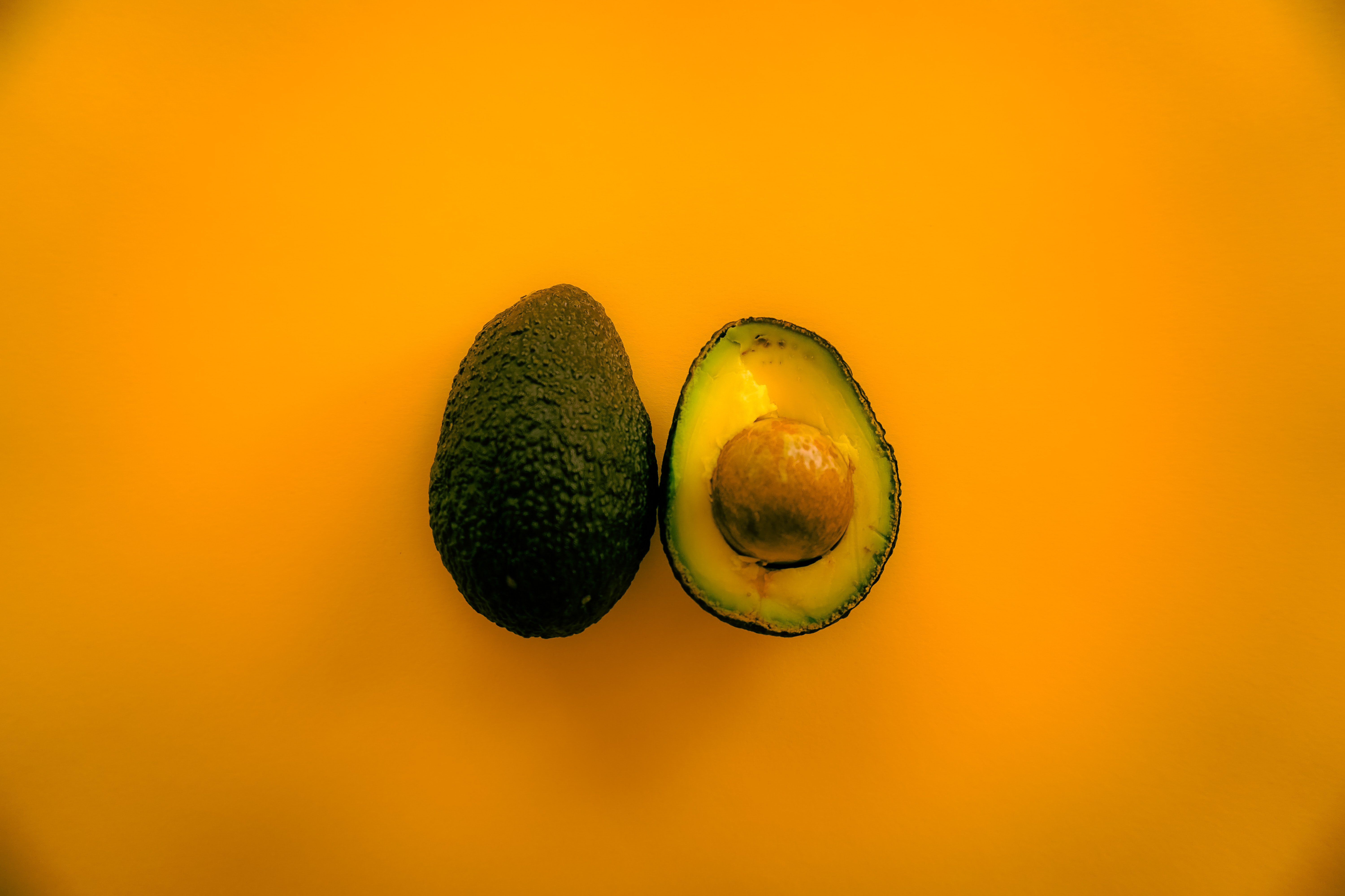 A COSA SERVONO I GRASSI?