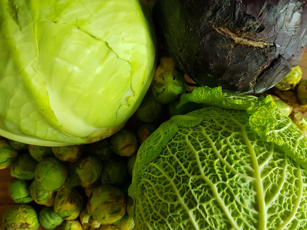 Que faire avec du chou? 10 idées recettes simples et originales