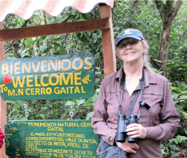 Judy Boyd | Jemez Fine Art