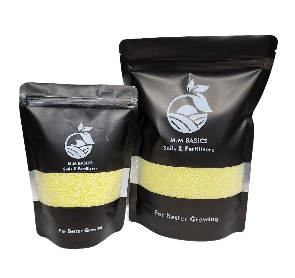 Sulphur Pellets 99.5% of Elemental Sulphur | M.M BASICS