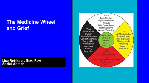 The Medicine Wheel | LR WELLNESS