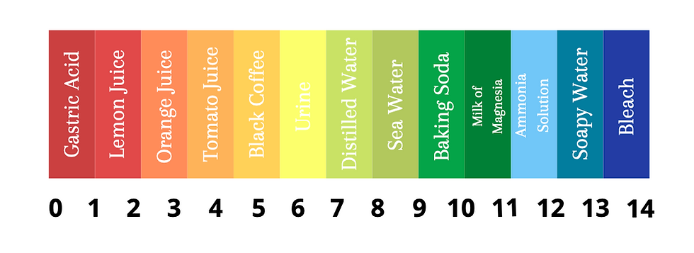pH Paper: Explained and How to Make Your Own!