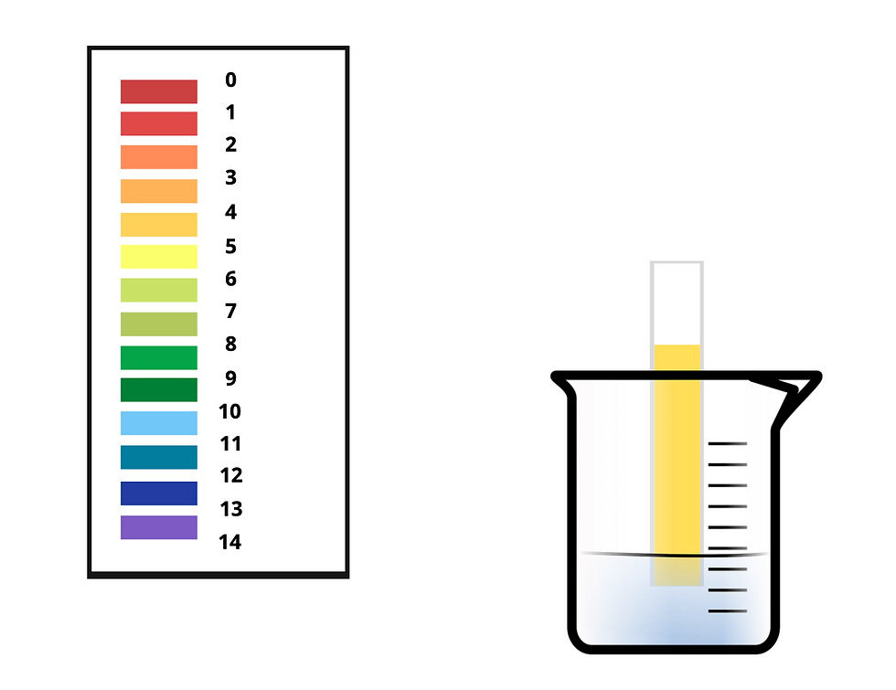 pH Paper: Explained and How to Make Your Own!
