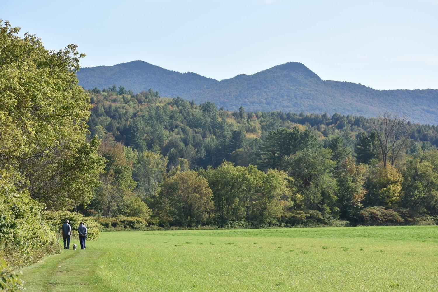 Mad River Path | Madbush Falls