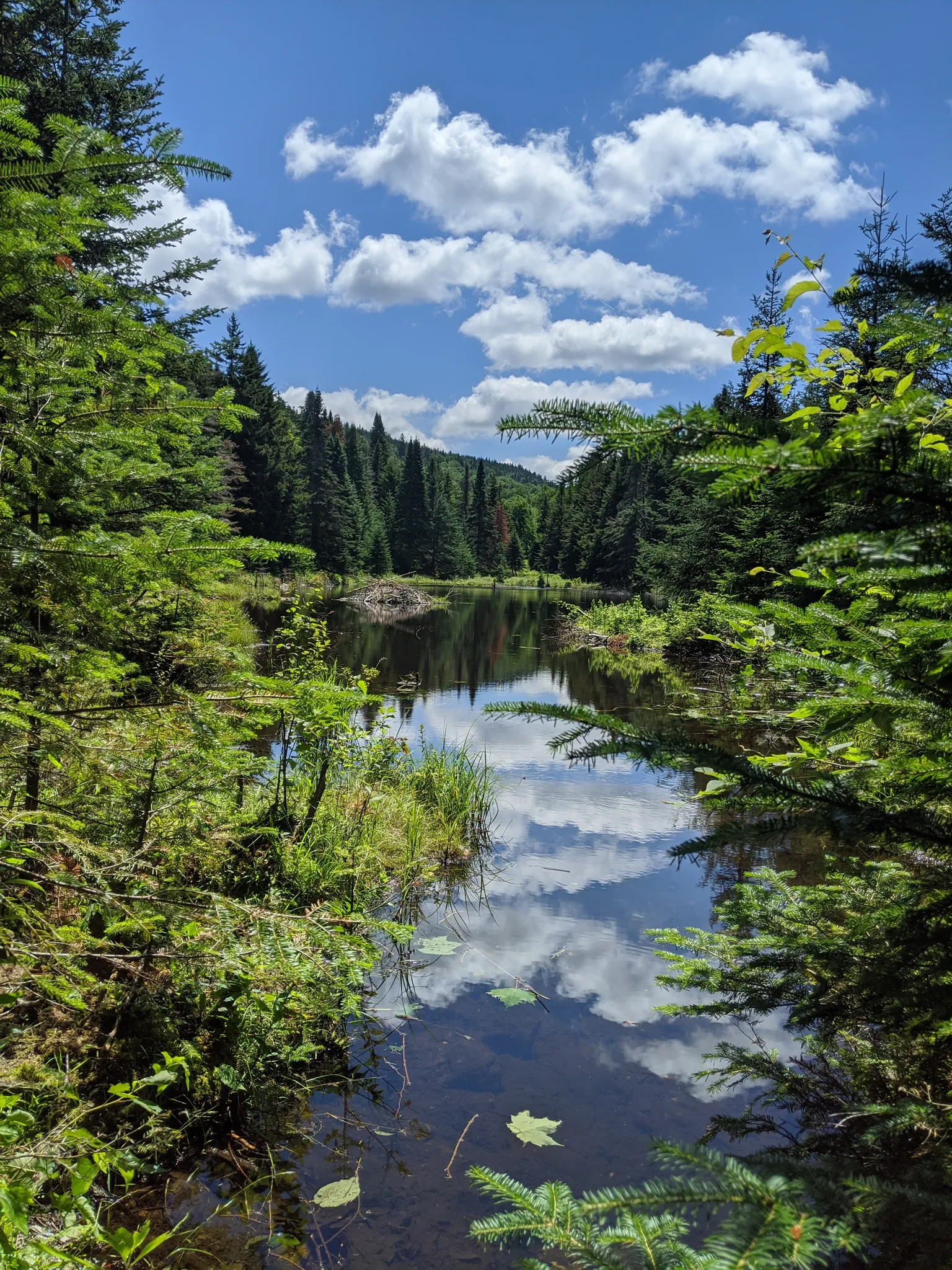 Scragg Mountain | Madbush Falls
