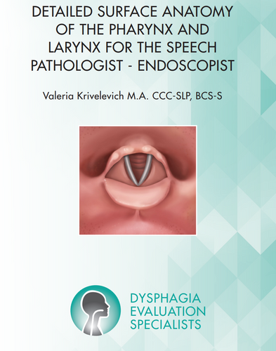 Spiral Bound Detailed Surface Anatomy of the Larynx and Pharynx ...