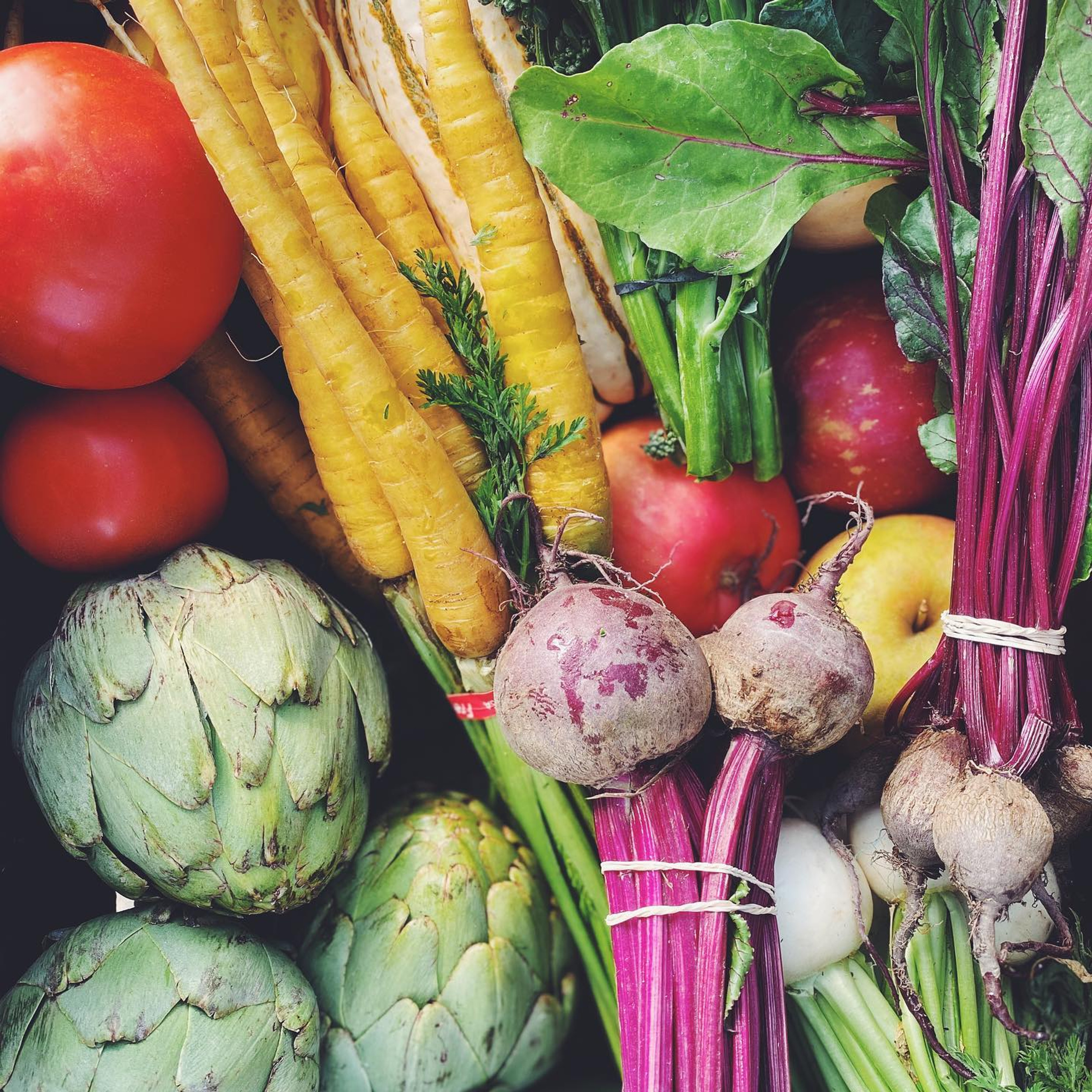 Rosebird Farms | Kingman Organic Farm | CSA | Organic Vegetables