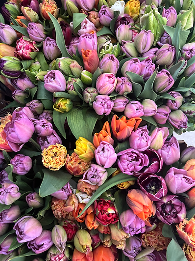 About | Flagstaff CSA