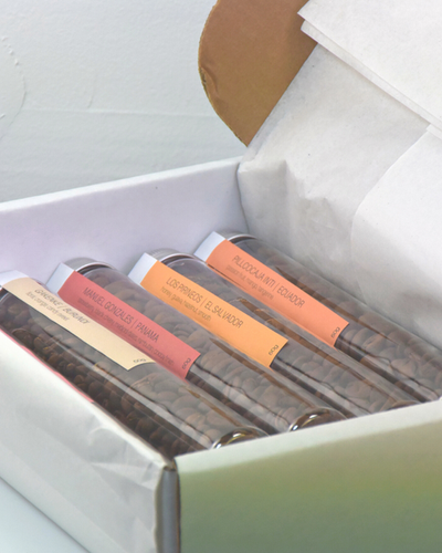 Coffee Tasting Set | Memli Coffee Lab